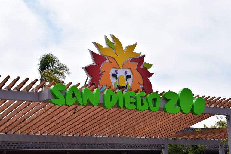 San Diego Zoo Africa Rocks - Summer Family Fun - The Mother Overload